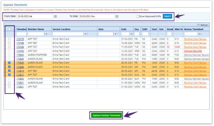 Professional Portal: Approve Timesheets
